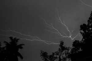 Tree Lightning Protection | Tree Solutions of Texas