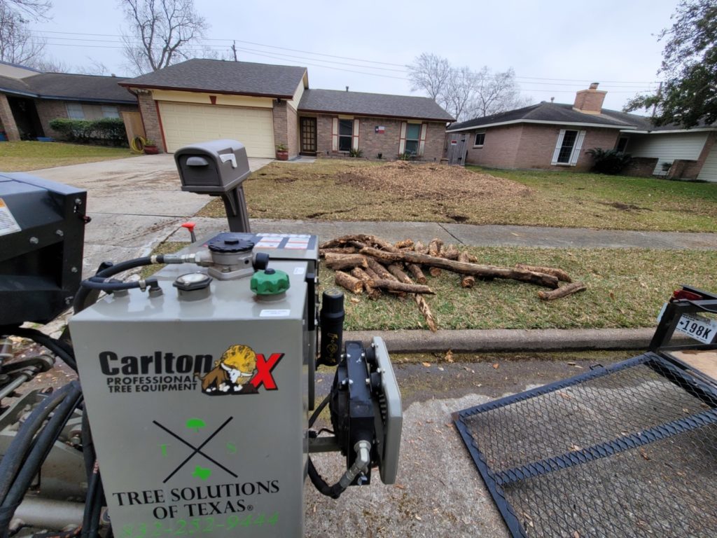 Tree Root Removal | Tree Solutions of Texas