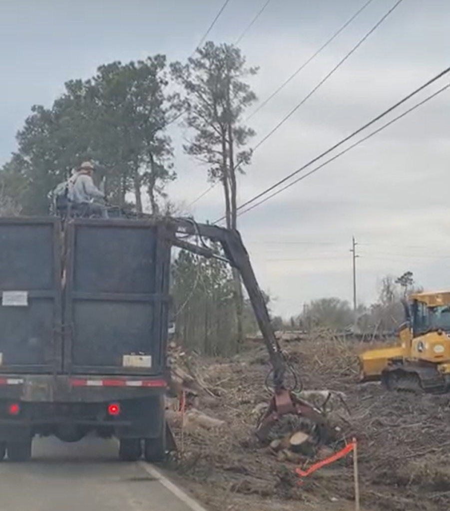 Municipal Tree Management | Tree Solutions of Texas
